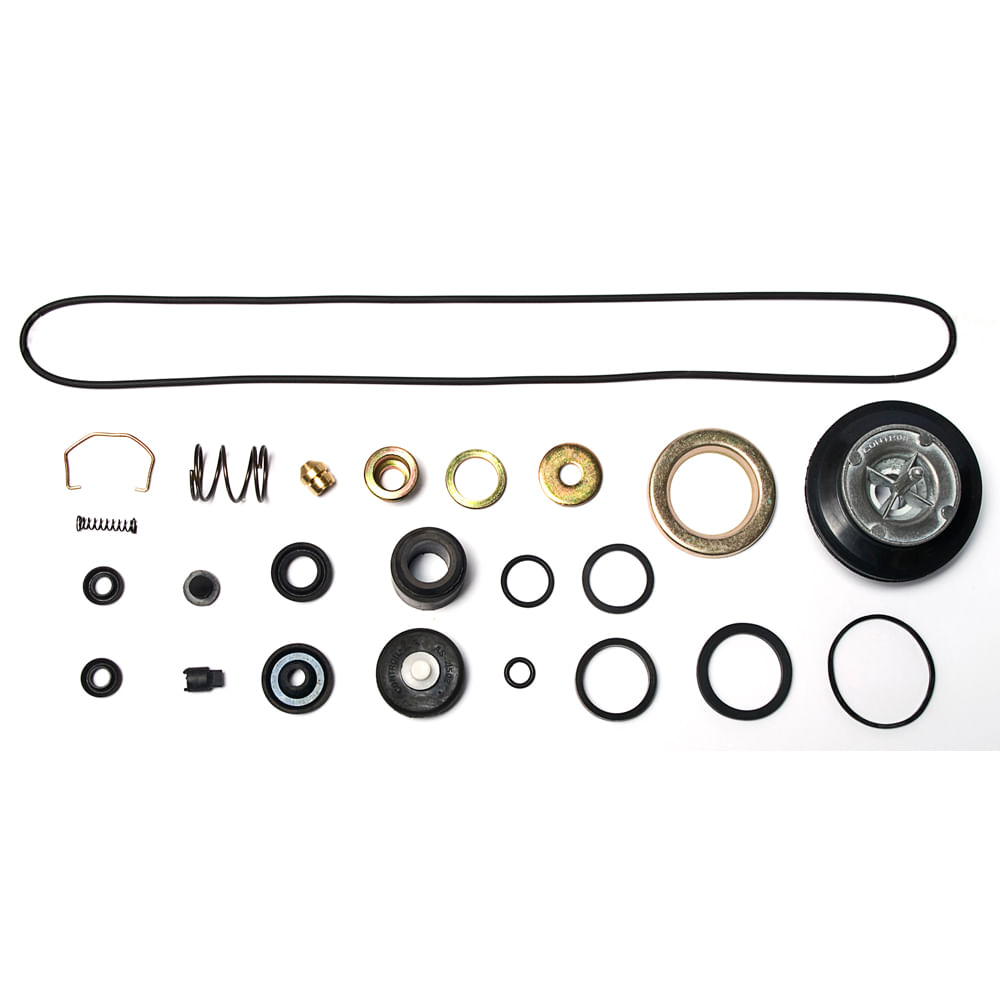 Reparo do Servo Freio CONTROIL C1209 - Envia Peças