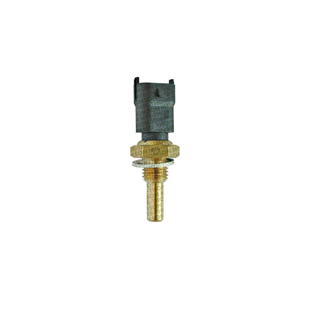 Plug Eletronico MTE 4007 - Envia Peças